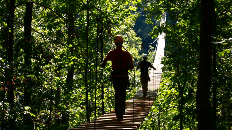 Suspension & Sky Bridges in Georgia - Bridges of Banning