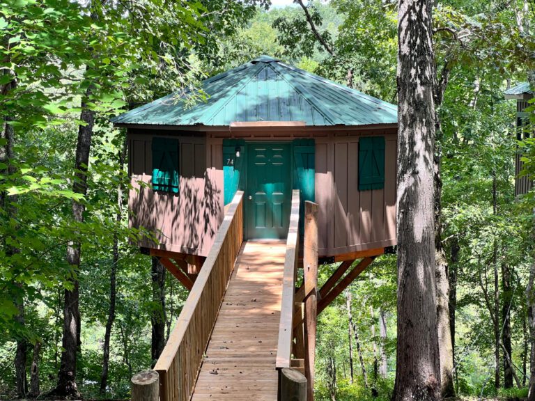 Tree House Rentals in Georgia - Single & Double Level