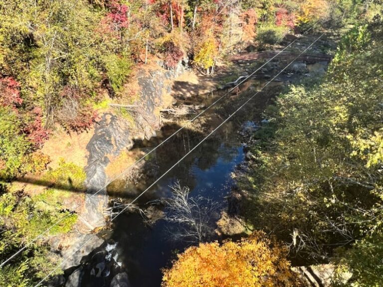 Georgia Zipline & Adventure Resort - Historic Banning Mills
